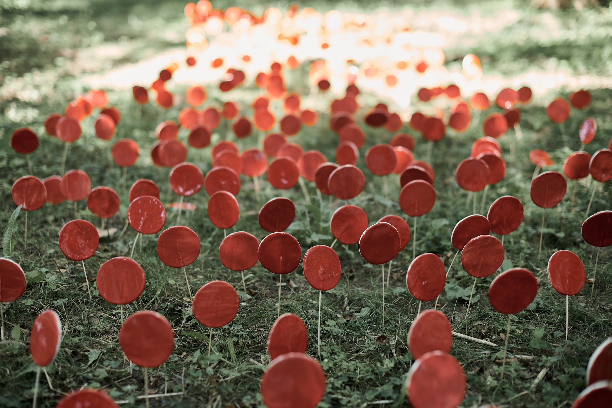 L'art du Land art : la nature comme terrain d'expression | Pmart.fr